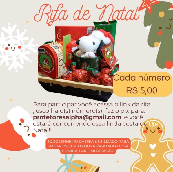 ONG de proteção animal lança Rifa de Natal em prol dos bichinhos ...